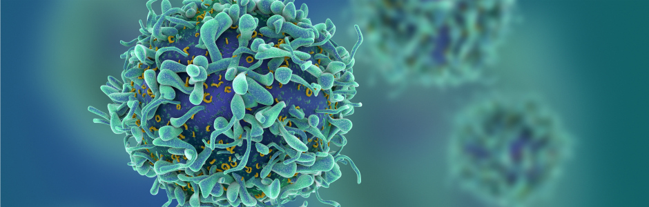 What You Need to Know About the 2016-2017 Flu Season | Weill Cornell ...